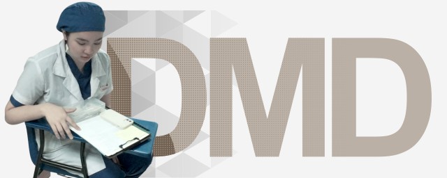 Admission Requirements – University of the East